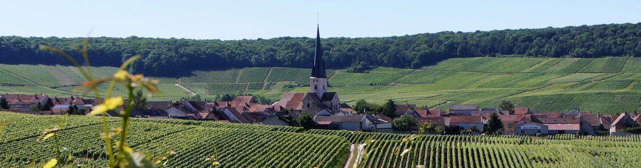 Cooking Vacations & culinary tours in CHAMPAGNE - LifestyleVacations